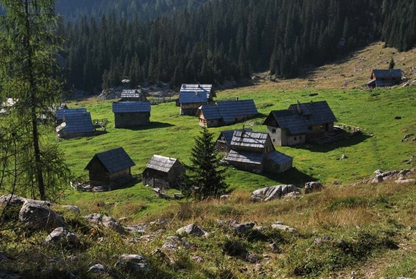 Kateri družinski izlet vam priporočamo?